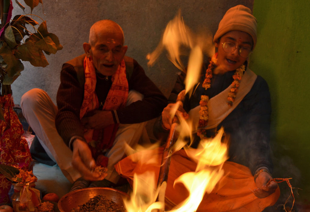 Fire-rice – Planting Poetree Seeds